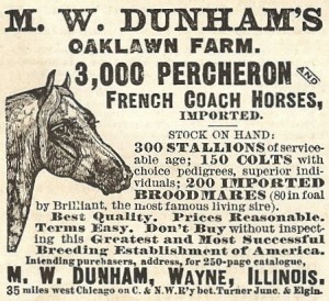9 Horse Ads From Back in the Day | HORSE NATION