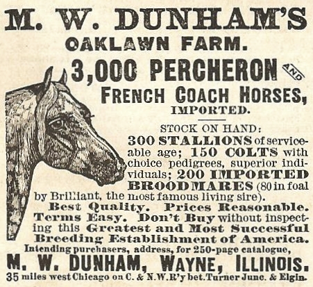 9 Horse Ads From Back in the Day | HORSE NATION
