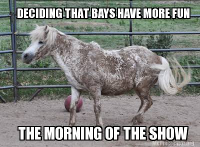10 Memes That Show How Your Horse Feels About Spring | HORSE NATION