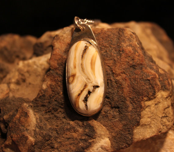 Horse Teeth Jewelry: Creepy or Not? | HORSE NATION