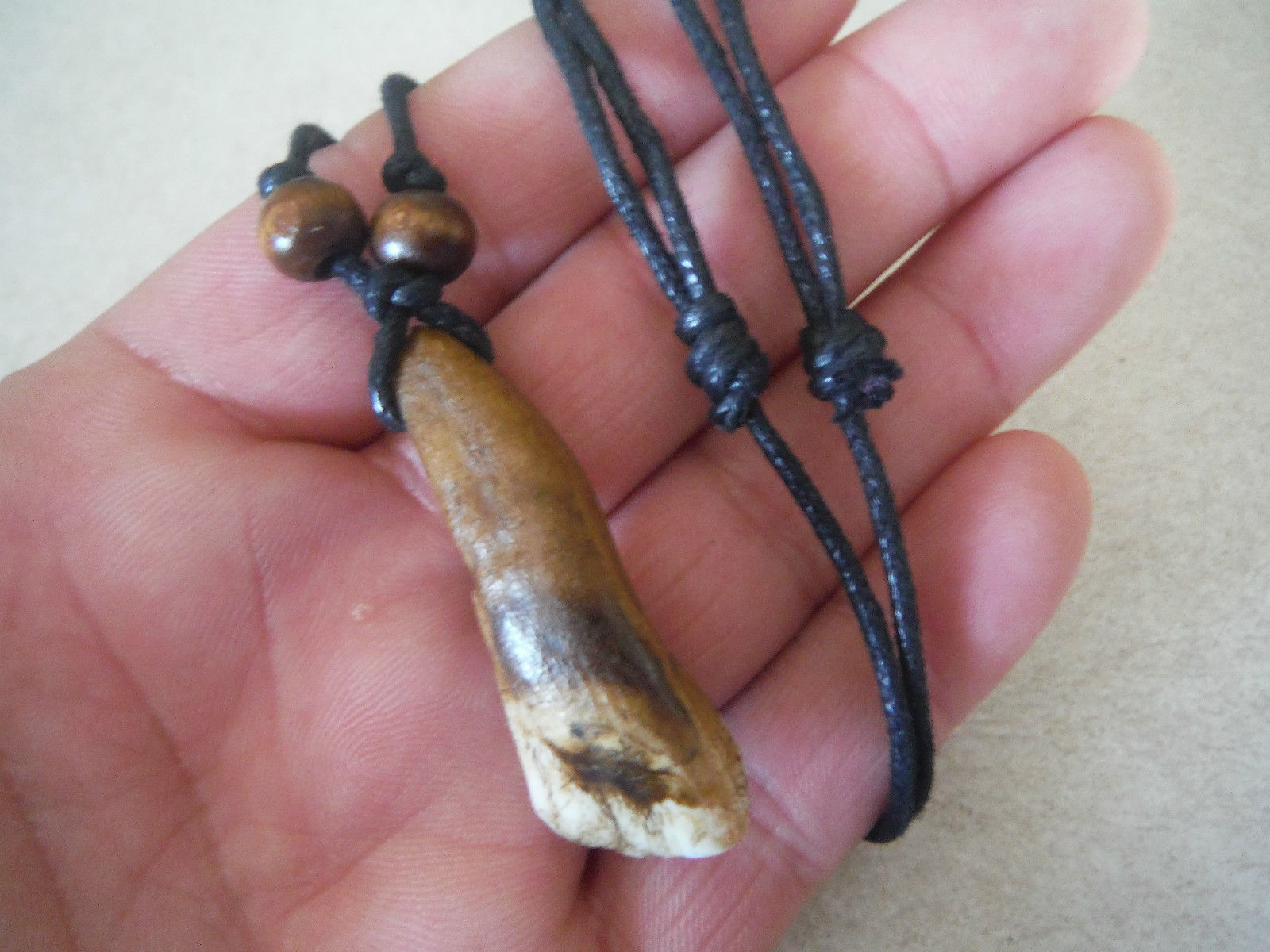 Horse Teeth Jewelry: Creepy or Not? | HORSE NATION