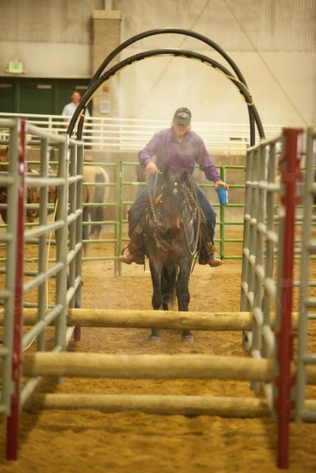 10 Trail Obstacles On Every Horseman’s Wishlist | HORSE NATION