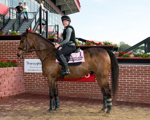 OTTB Success Story: Schmoopy Is As Schmoopy Does | HORSE NATION