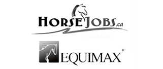 3 Essential Equestrian Job Databases | HORSE NATION