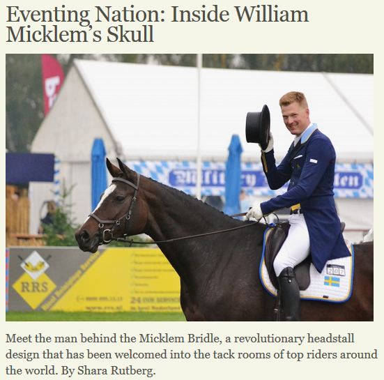 6 Fun Tack Facts | HORSE NATION