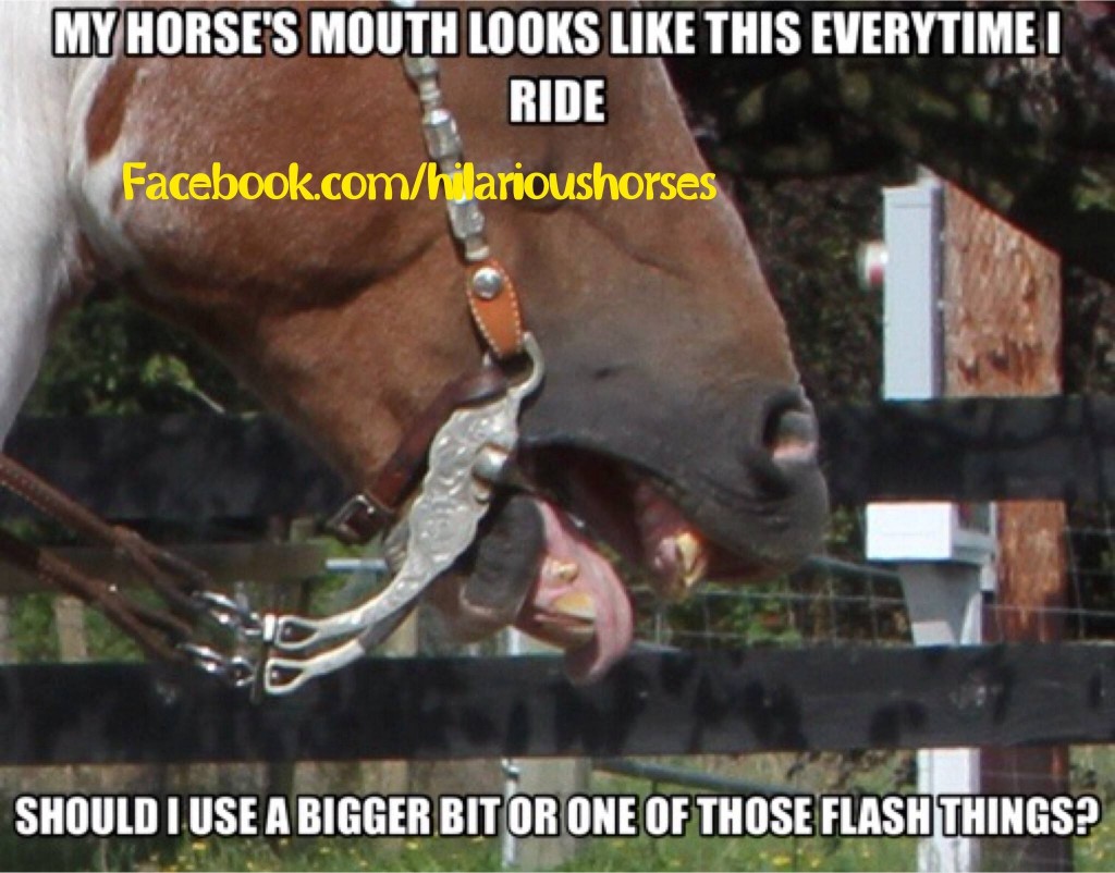 5 Things Only Equestrians See on Their Facebook Newsfeeds | HORSE NATION