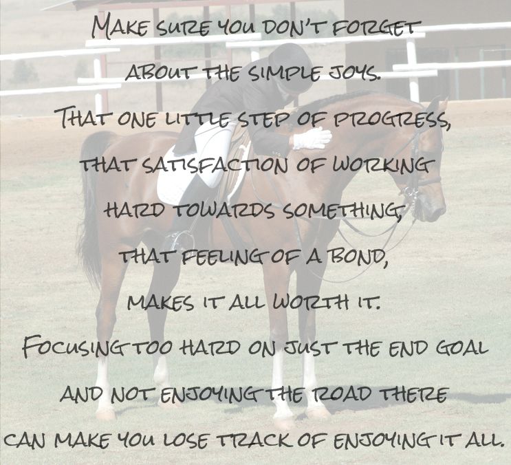 5 Rules to Follow When Setting Riding Goals | HORSE NATION