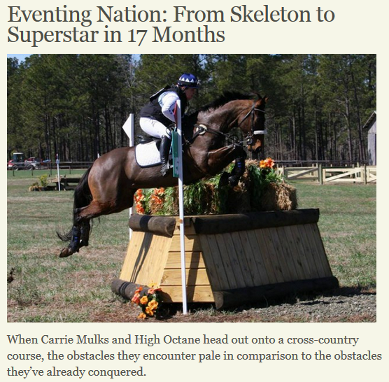 Eventing Nation: Evention TV on Selecting an OTTB Event Prospect ...