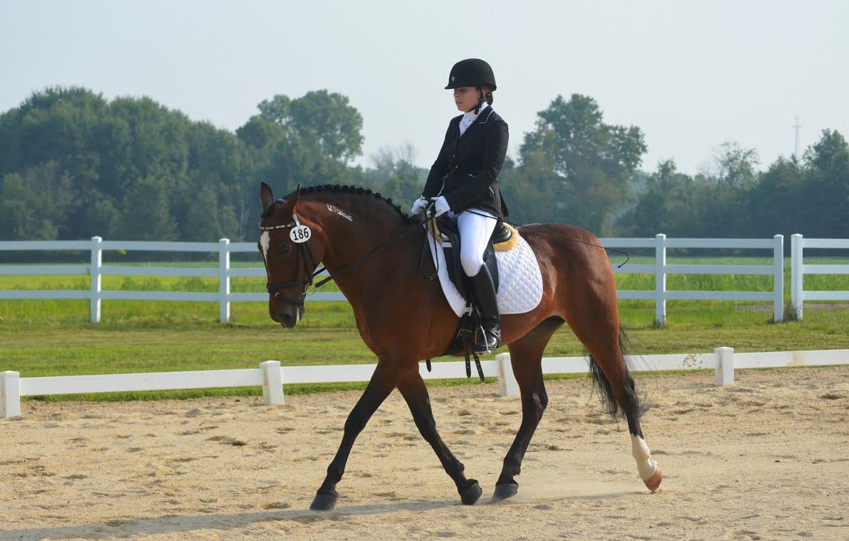 Back on Track ‘Horse Therapy’: Gypsy, the Dressage Mustang | HORSE NATION