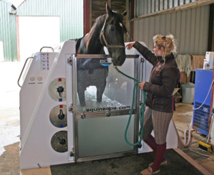 An Unusual Patient at the ECB Equine Spa | HORSE NATION
