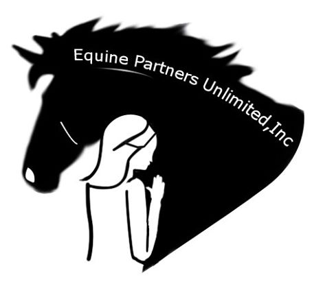 Friday Standing Ovation, Presented by Ovation Riding | HORSE NATION