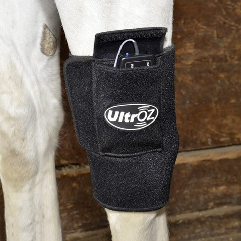 Share Your Reasons to Be Thankful to WIN a Two Month Trial of UltrOZ ...