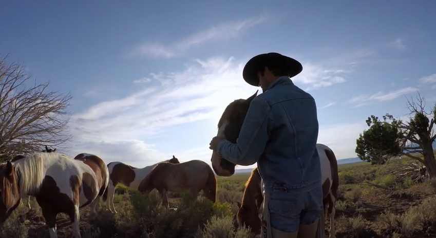 Thursday Morning Feed from Fleeceworks: American Mustangs in GoPro HD ...