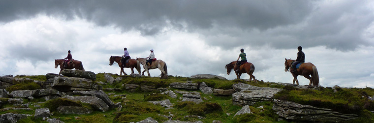 Adventure Clydesdale: Versatility With Feathers | HORSE NATION