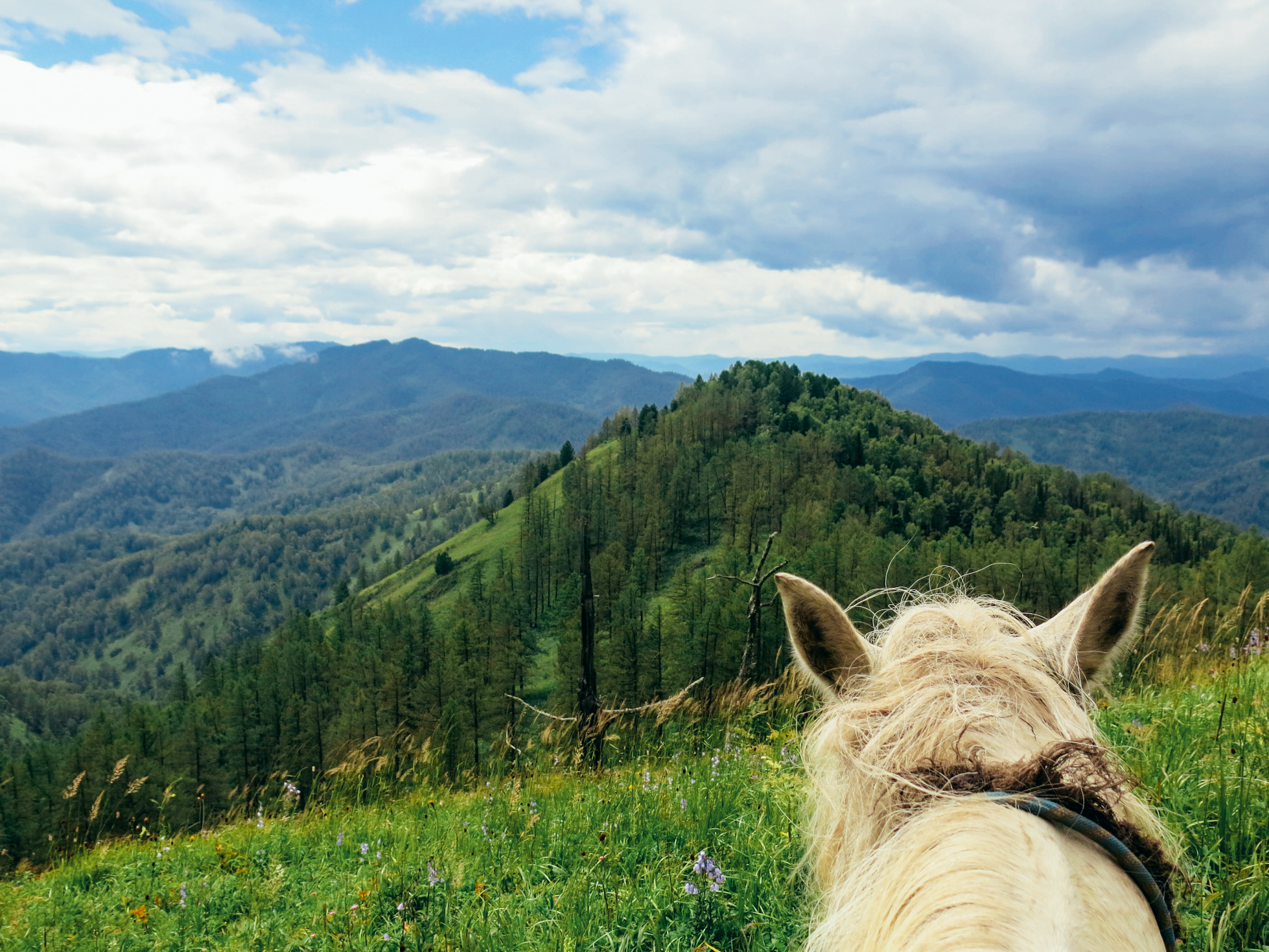Equi-Geo: One Woman’s Ultimate Bucket List Adventure | HORSE NATION