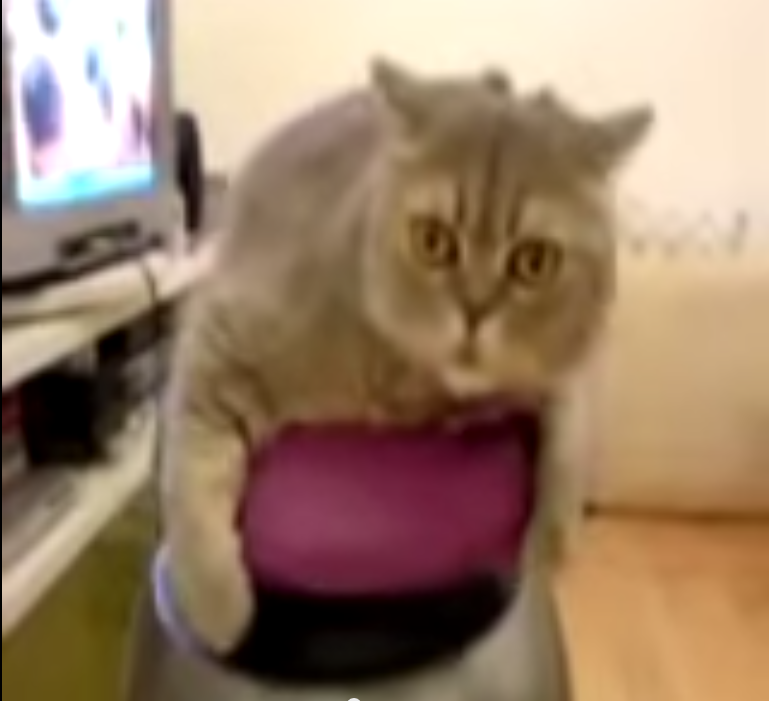 iGallop: the (Hilarious) Horseback Riding Exercise Simulator | HORSE NATION