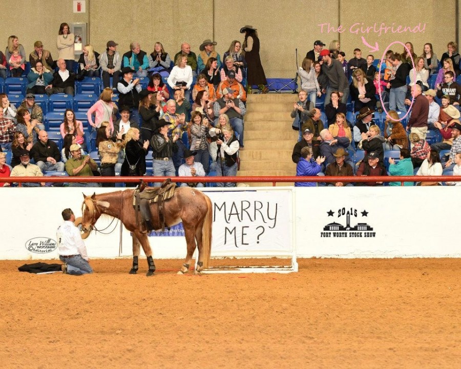 Must-See Moments from the 2015 Mustang Magic Competition | HORSE NATION