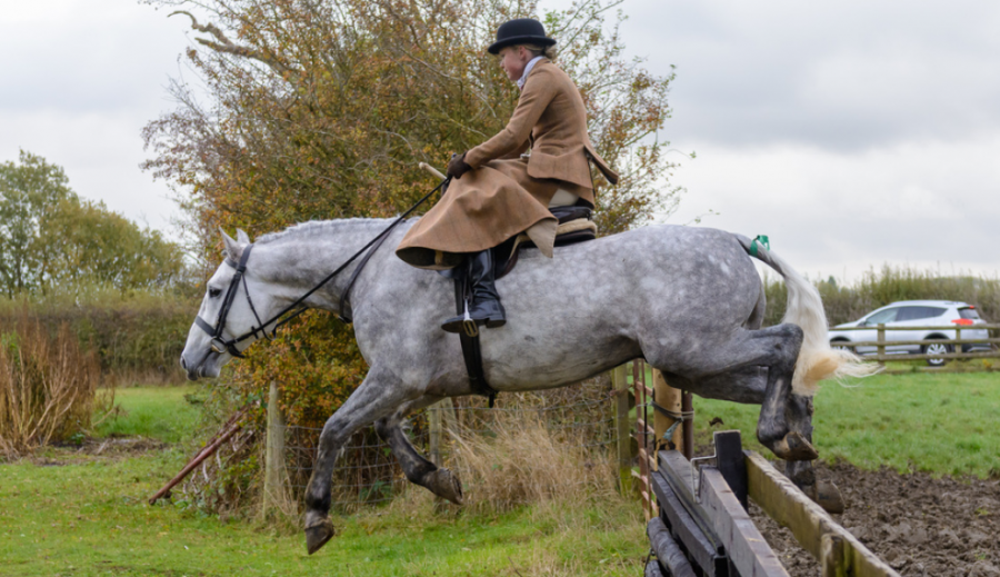 16 Sidesaddle Foxhunters Who Are Braver Than We’ll Ever Be | HORSE NATION