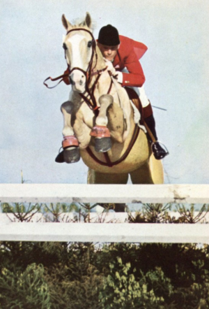The Early Years of ’50s Show Jumping Champion Nautical | HORSE NATION
