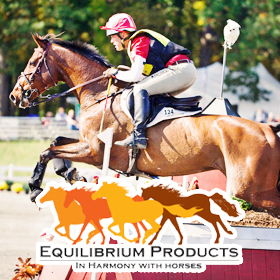 Horses in History: Stroller the Olympic Wonder Pony | HORSE NATION