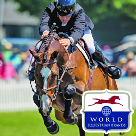 Horses in History: Stroller the Olympic Wonder Pony | HORSE NATION