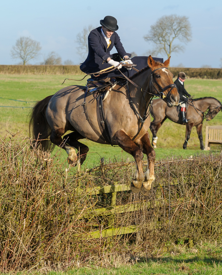 16 Sidesaddle Foxhunters Who Are Braver Than We’ll Ever Be | HORSE NATION