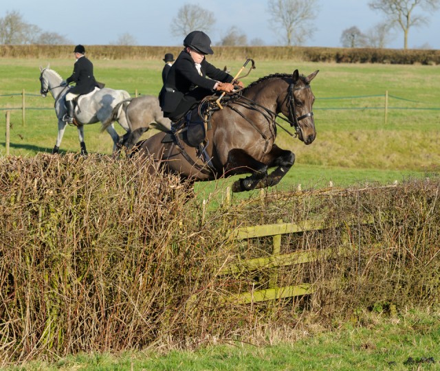HN Best of 2015 #10: 16 Sidesaddle Foxhunters Who Are Braver Than We’ll ...