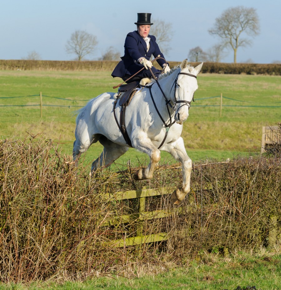 HN Best of 2015 #10: 16 Sidesaddle Foxhunters Who Are Braver Than We’ll ...