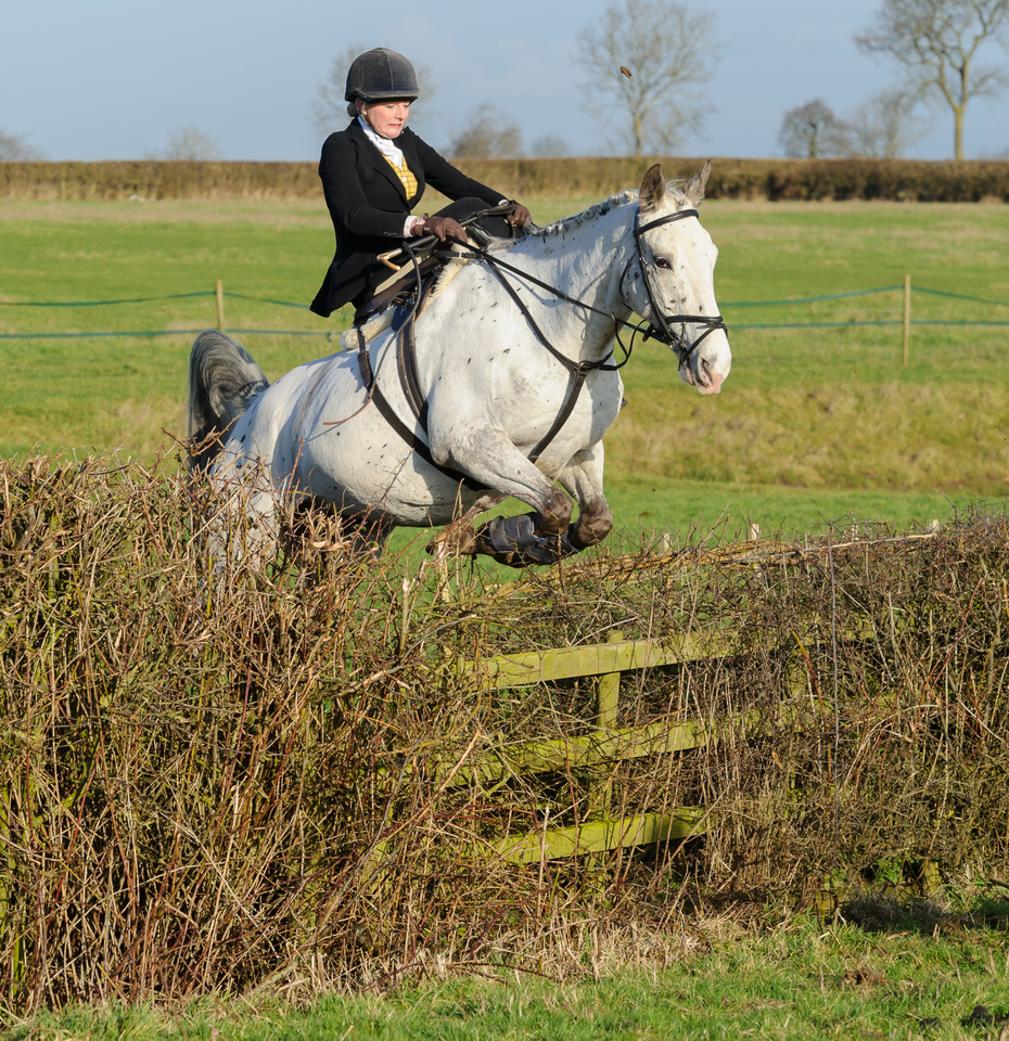 16 Sidesaddle Foxhunters Who Are Braver Than We’ll Ever Be | HORSE NATION
