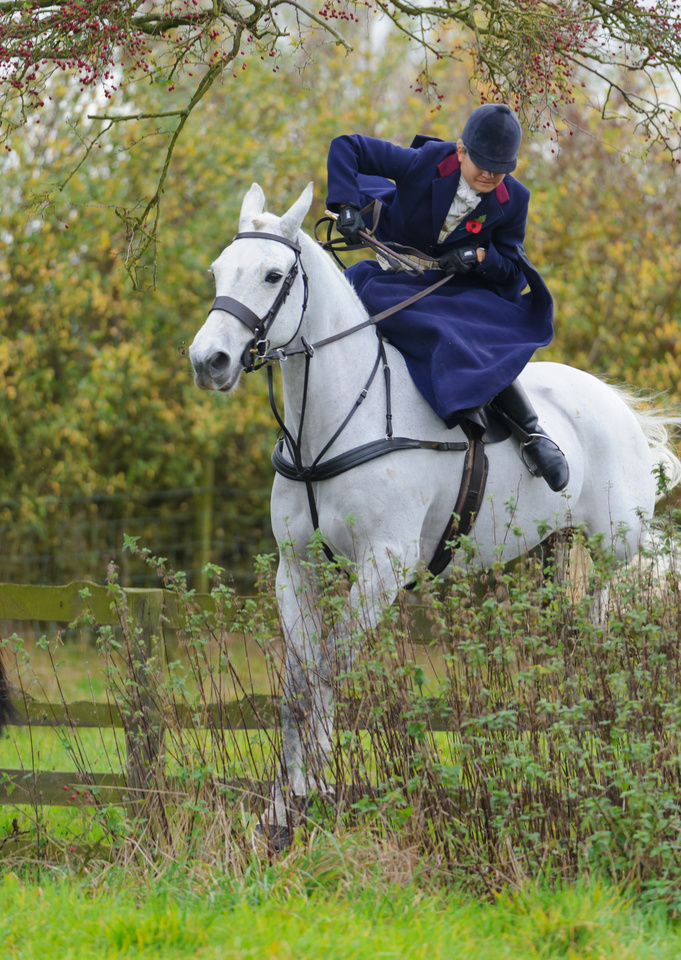 16 Sidesaddle Foxhunters Who Are Braver Than We’ll Ever Be | HORSE NATION
