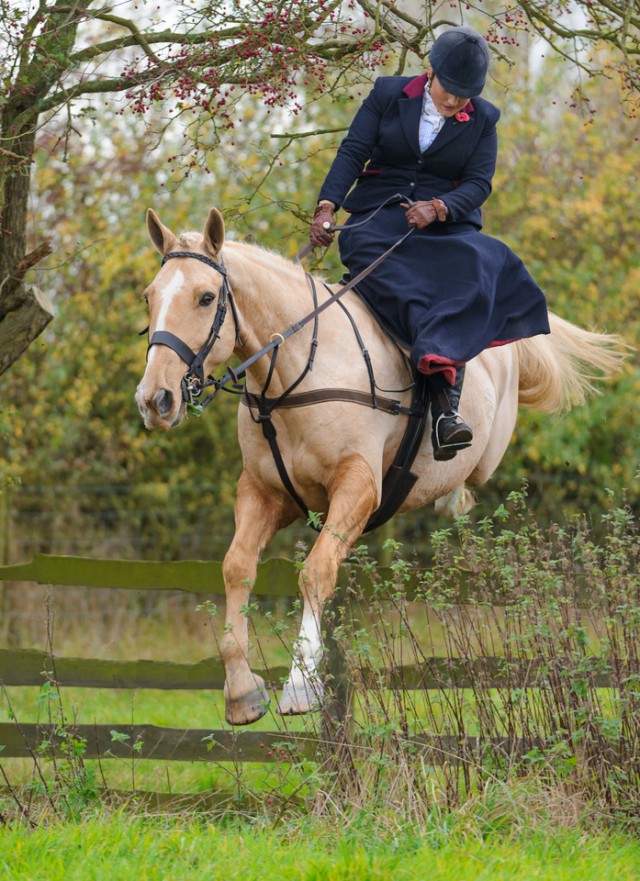 16 Sidesaddle Foxhunters Who Are Braver Than We’ll Ever Be | HORSE NATION