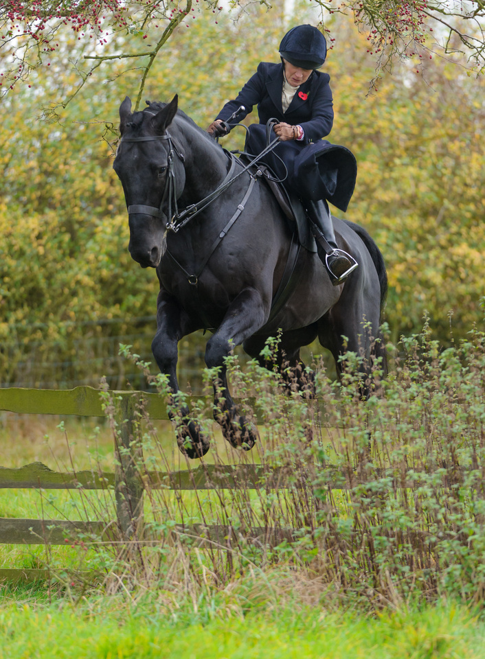 16 Sidesaddle Foxhunters Who Are Braver Than We’ll Ever Be | HORSE NATION
