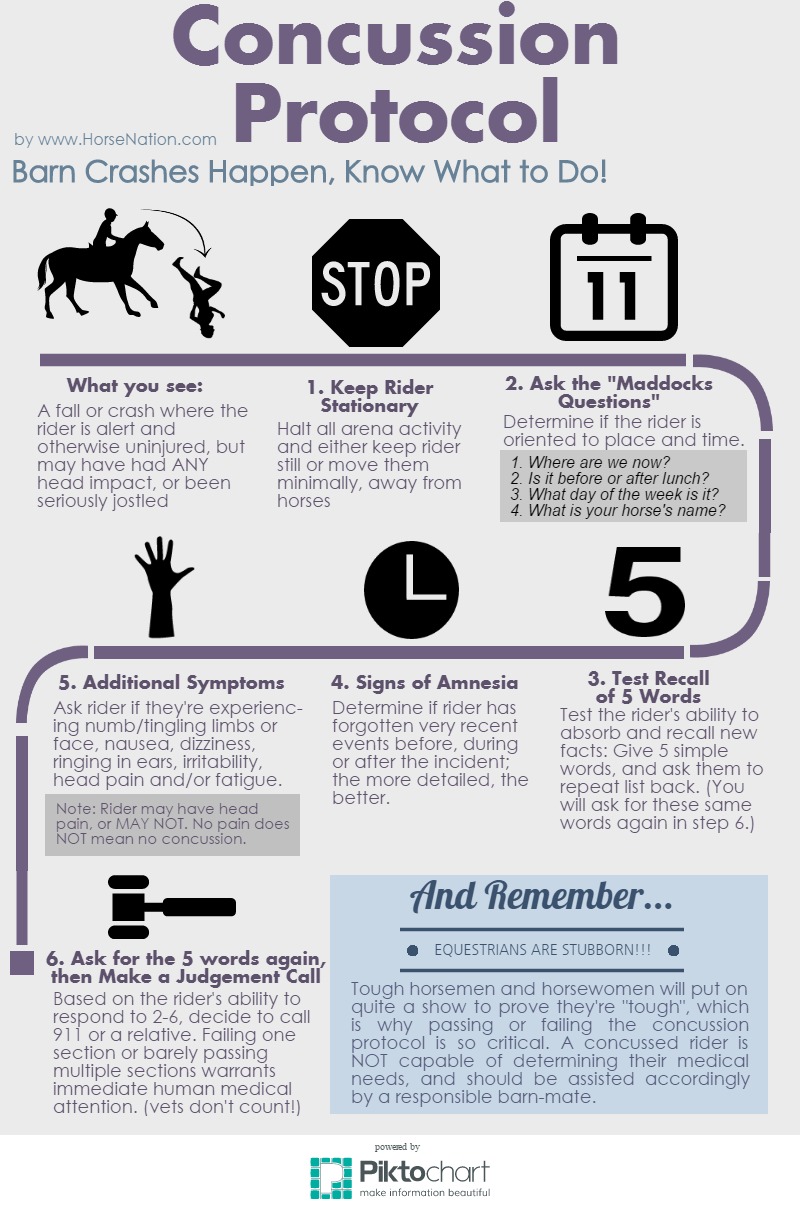 An Infograph EVERY Barn Should Have: Concussion Protocol | HORSE NATION