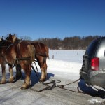 7 Times Draft Horses Saved Us From Winter | HORSE NATION