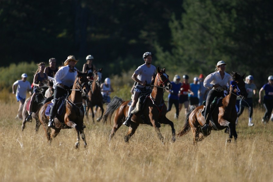 Run, Ride, Run: The Ride-and-Tie | HORSE NATION