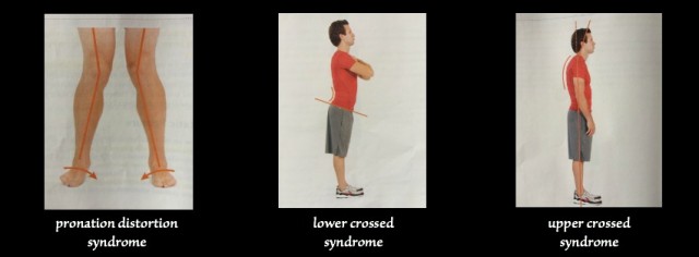 The Athletic Rider: Farrier Fitness, Part I | HORSE NATION