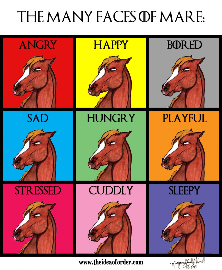 The Idea of Order: How to Read Your Mare’s Many Expressions | HORSE NATION