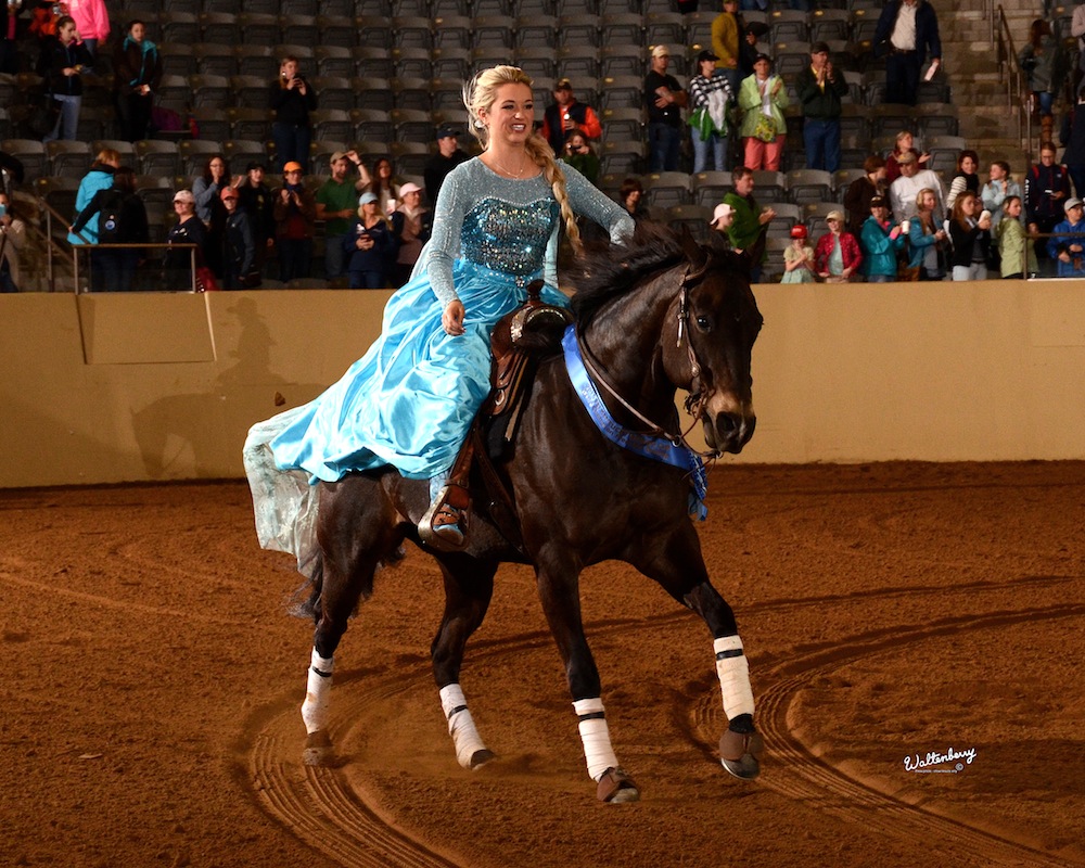 ‘Frozen’ Freestyle Wins the Kentucky Reining Cup | HORSE NATION