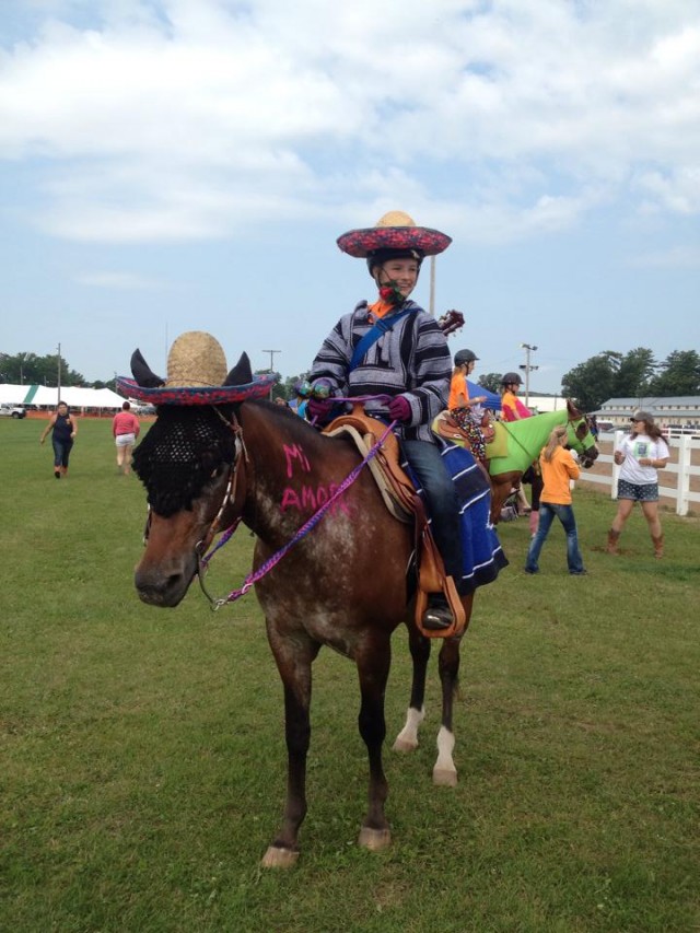 18 Reader-Submitted Tolerant Horses: Costumes, Clothes & Tarps Edition ...