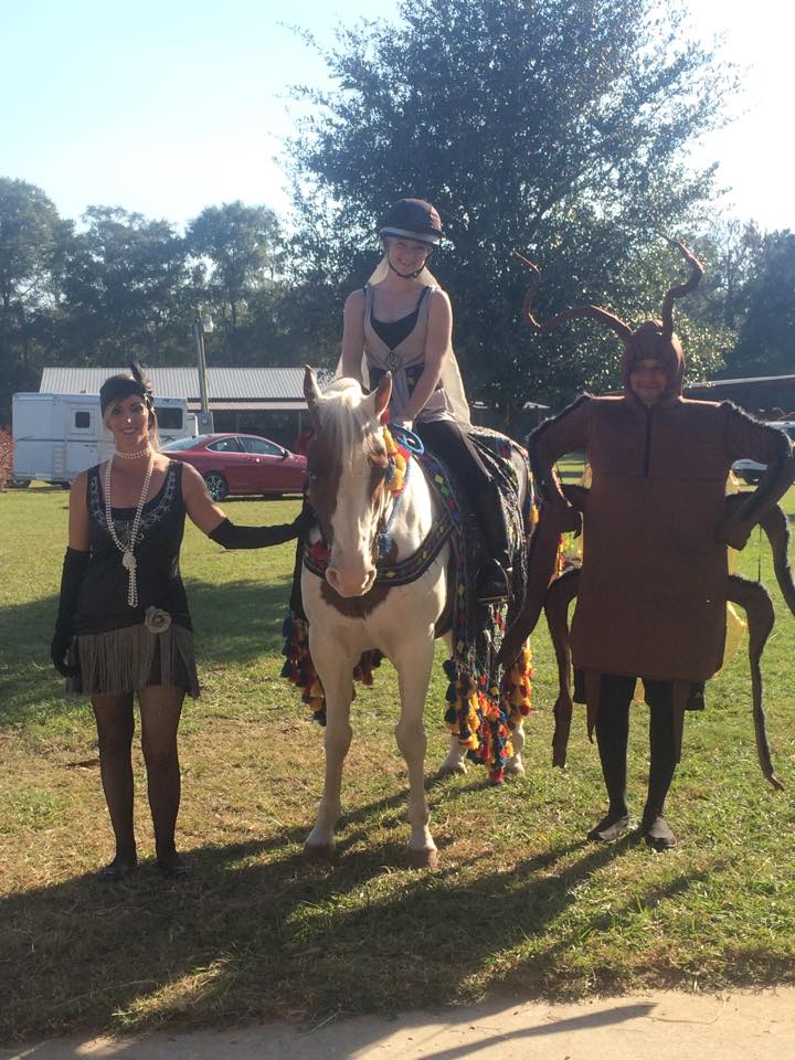 18 Reader-Submitted Tolerant Horses: Costumes, Clothes & Tarps Edition ...