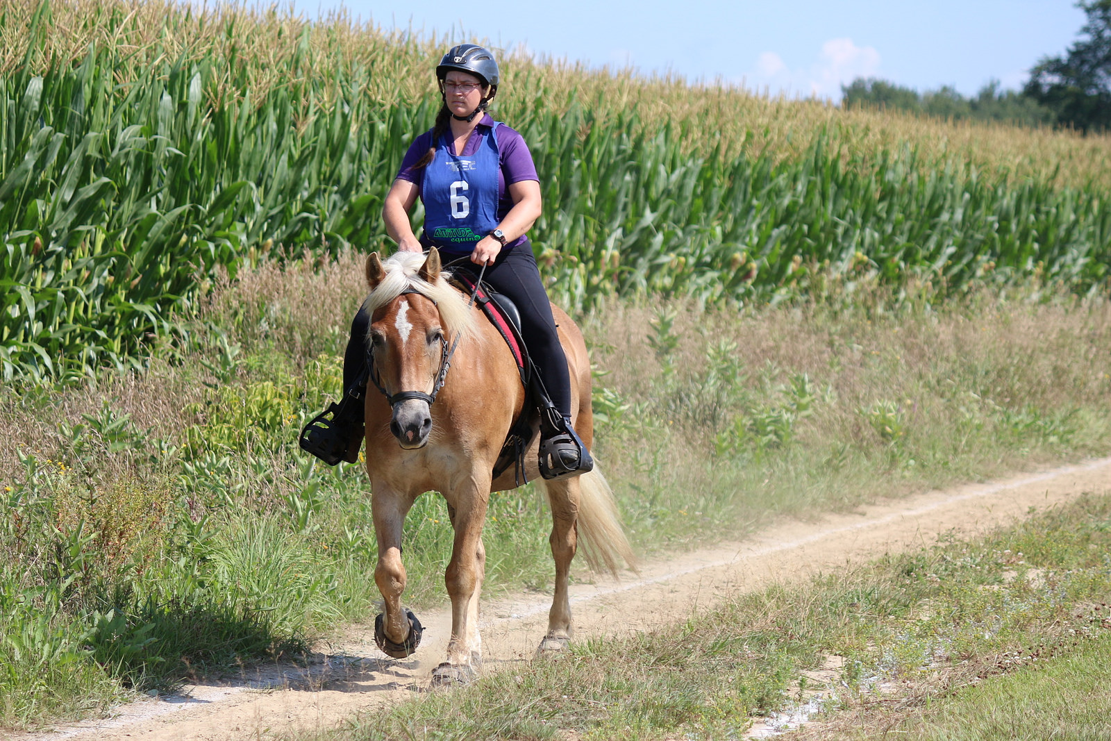 Competing on the Trail, Part II: TREC | HORSE NATION