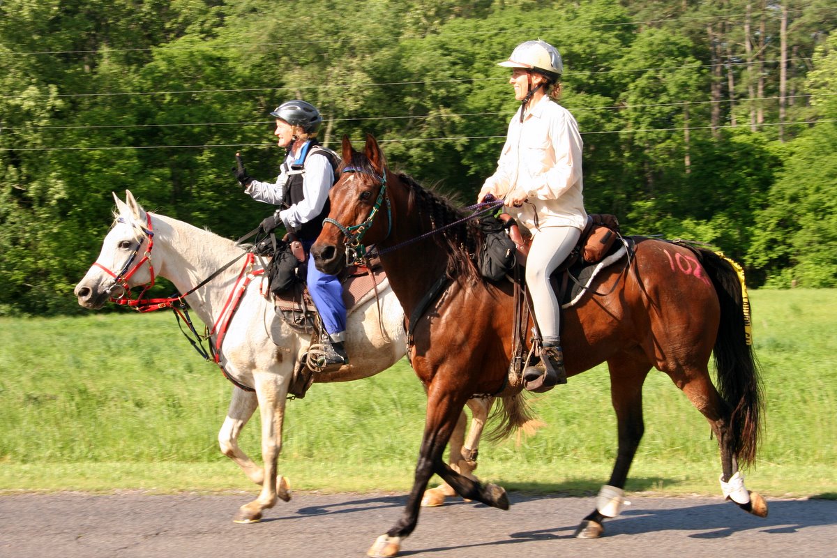 Competing On The Trail, Part I: Competitive Rides | HORSE NATION