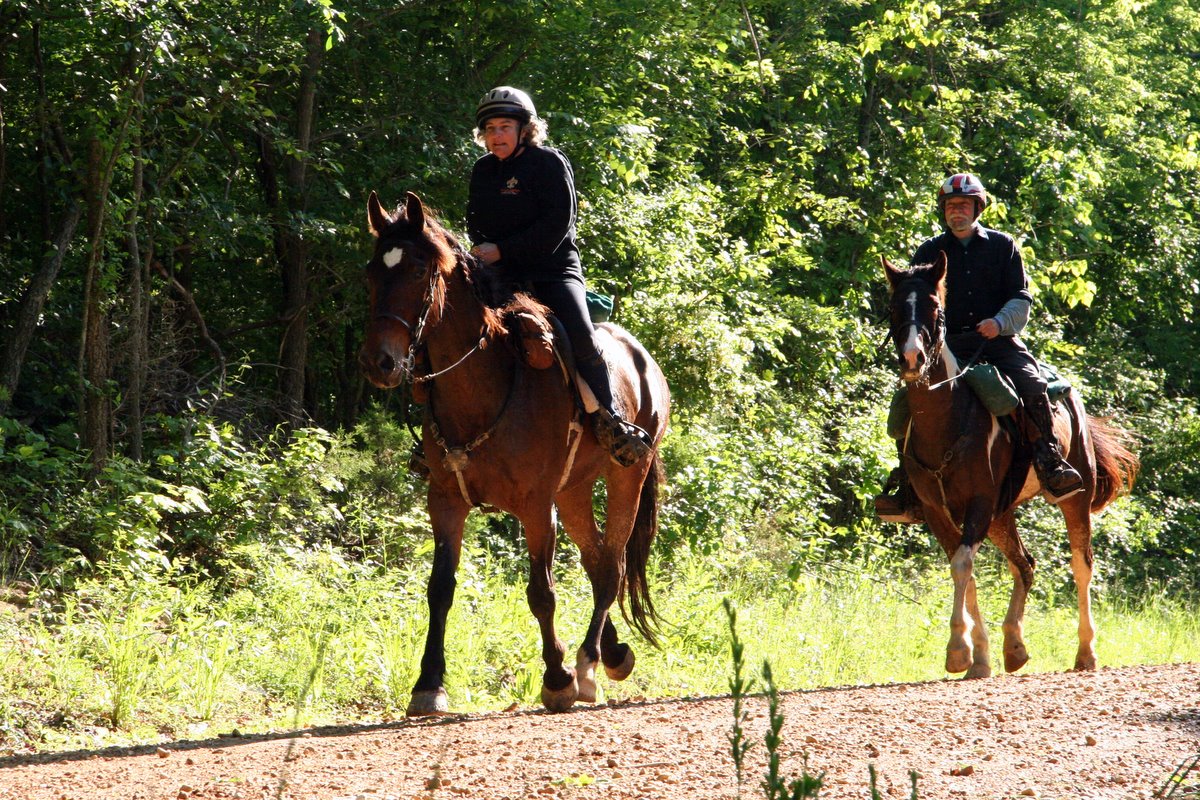 How to ‘Leave No Trace’ When Trail Riding | HORSE NATION