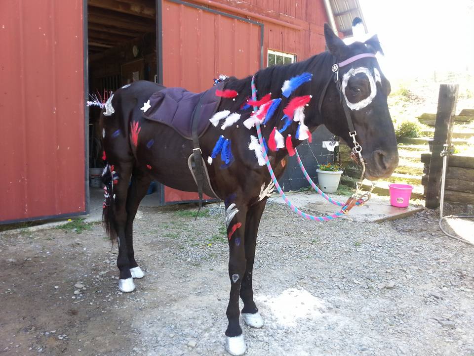 14 Reader-Submitted Horses Who Honored the Fallen | HORSE NATION