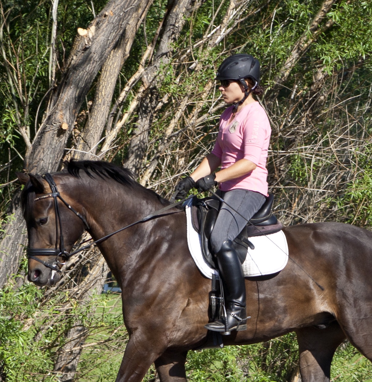 Product Review: Goode Rider Jean Full Seat Breeches & Henley Shirt ...