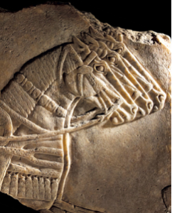 Someone Named Kikkuli Was the First Horse Trainer | HORSE NATION