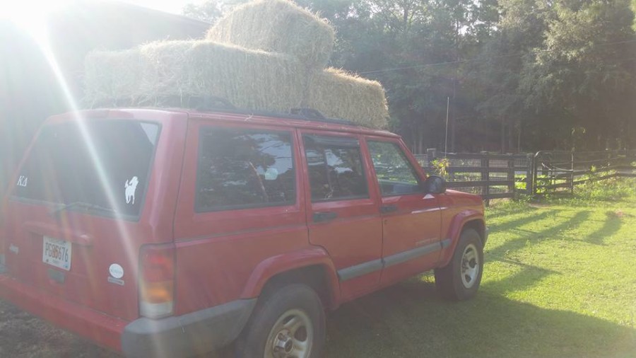 Absorbine Photo Challenge: 9 Epically Dirty, Overstuffed Barn Cars ...
