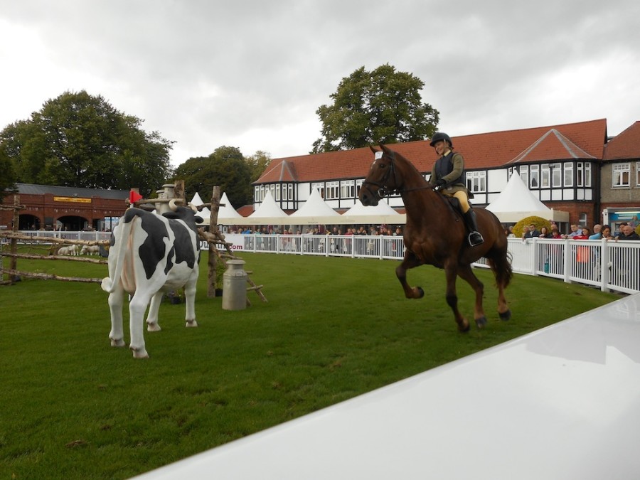 A Day at the Dublin Horse Show | HORSE NATION