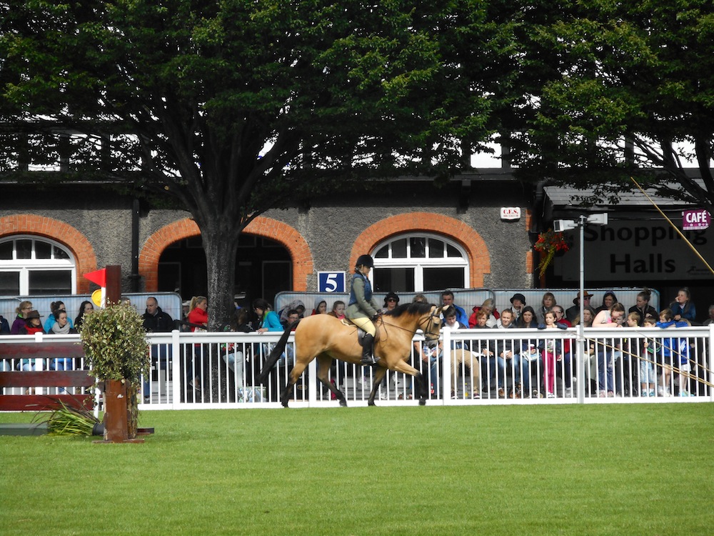 A Day at the Dublin Horse Show | HORSE NATION