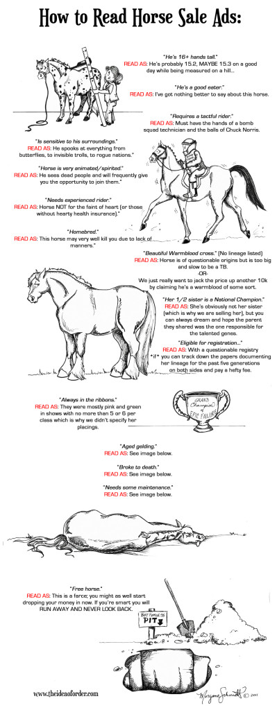 The Idea of Order: How to Read Horse Sale Ads… | HORSE NATION